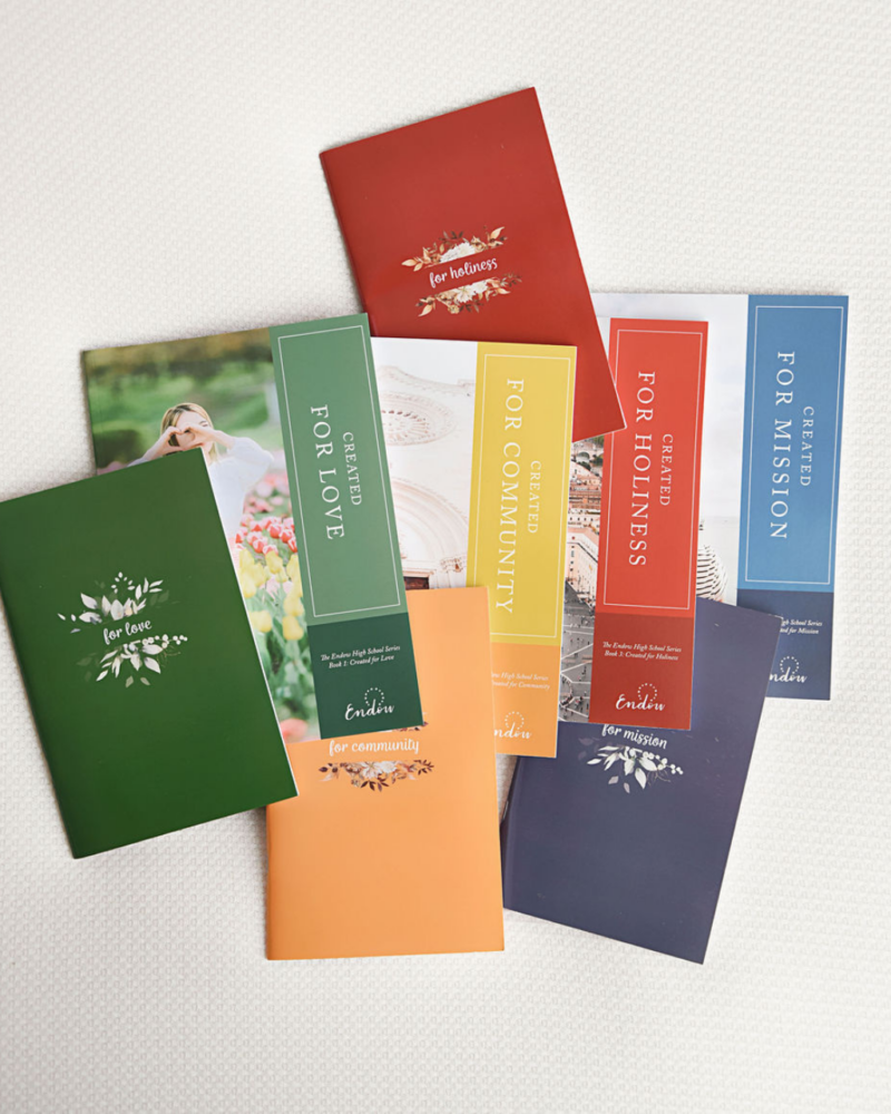 Created for Love | High School Book I | Endow